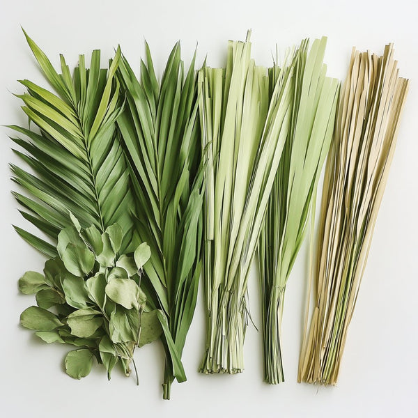 Teepee Palm Foliage Bunches – 15 Stems (28–30") | The Garland Guy