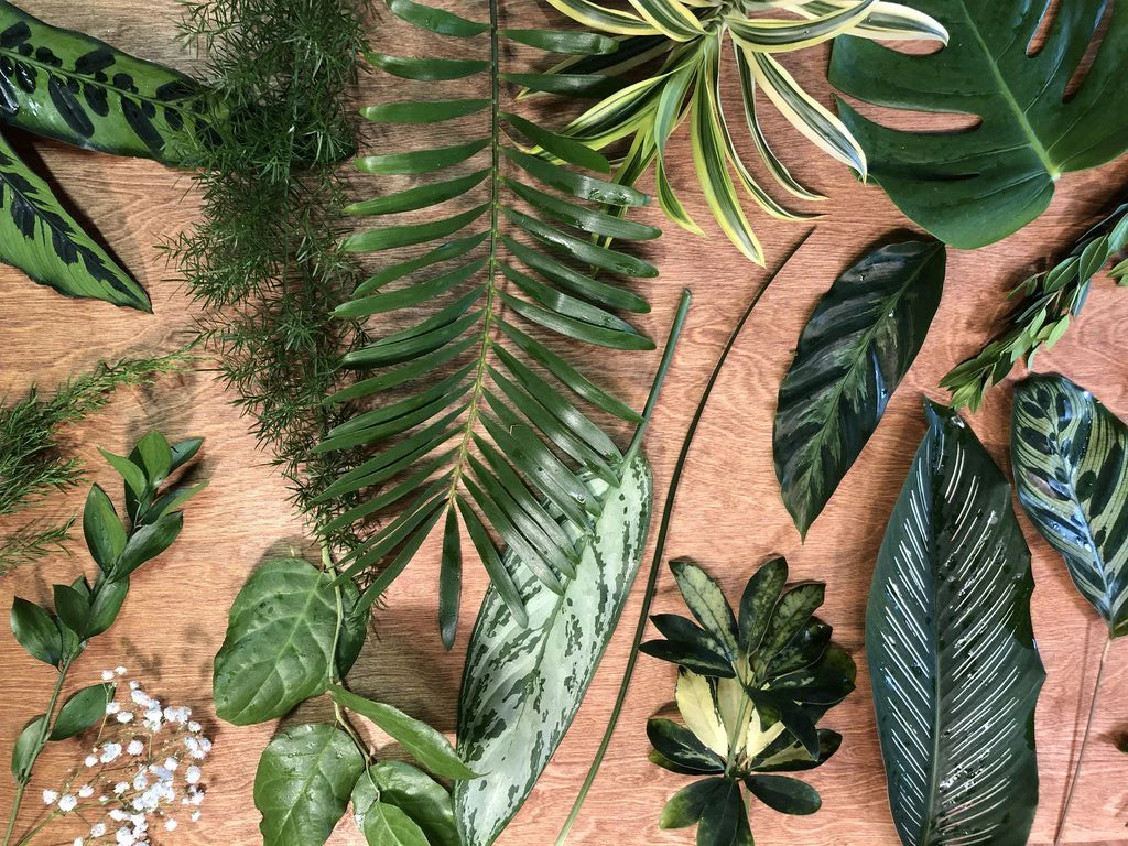 Freshly Harvested Cut Foliage & Greens – The Garland Guy