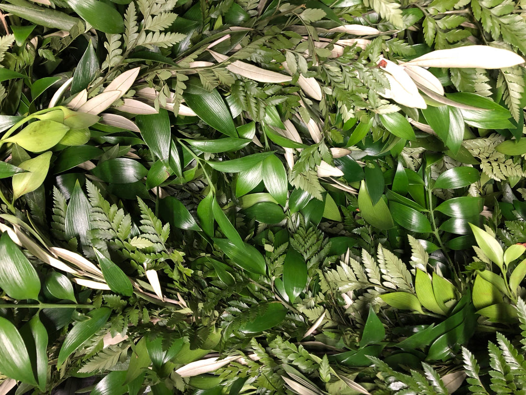 Garland & Shipping Upgrades – The Garland Guy