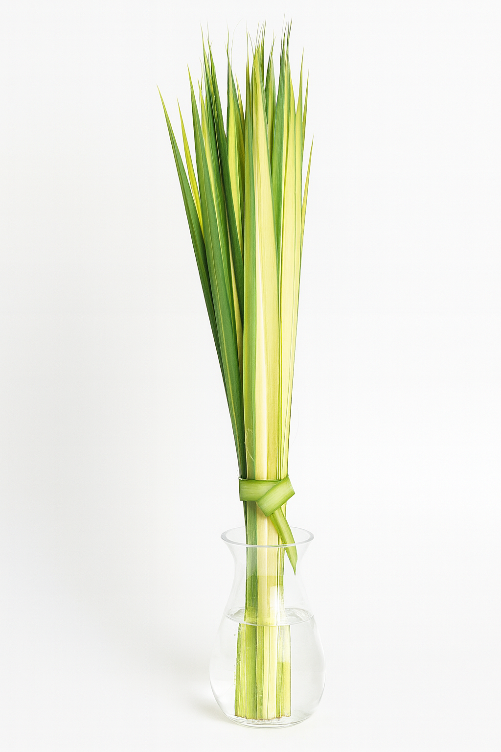 Fresh Palm Strips for Palm Sunday, Easter & Décor | The Garland Guy