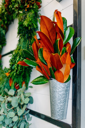 Garland & Shipping Upgrades – The Garland Guy