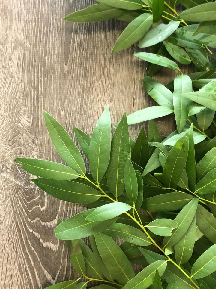 Bay Leaf Bunches – The Garland Guy