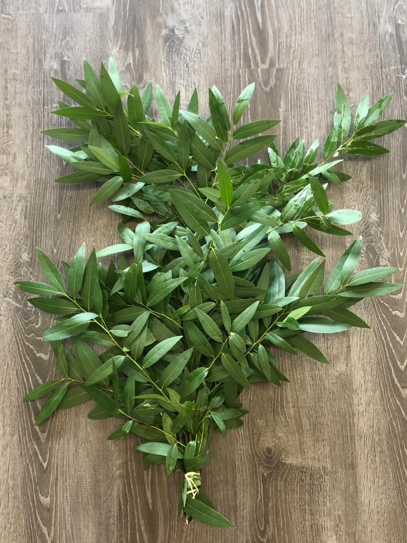 Bay Leaf Bunches – The Garland Guy