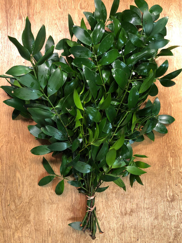 Nagi Foliage Bunches – Elegant, Hardy Greenery for Every Occasion 🌿- T ...